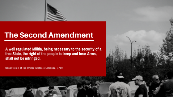 Common Sense Gun Laws Part 4: A Well Regulated Militia - Monarch Defense